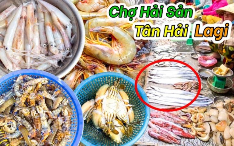 Top 6 Chợ Hải Sản Lagi Bình Thuận Nổi Tiếng Giá Rẻ